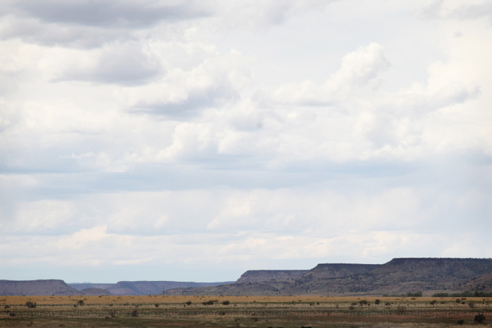 The wild wide open. | Dharma Anchor
