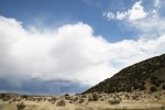 The wild wide open. | Dharma Anchor