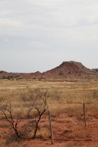 Weekend Ramblin’ II: High plains. | Dharma Anchor